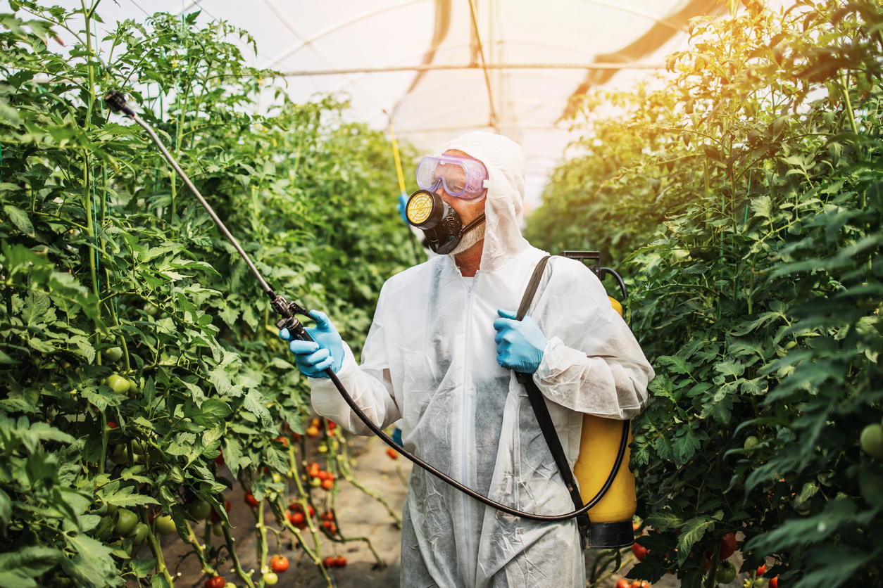 Paraquat | Uses, Toxicity, Poisoning, Link to Parkinson's Disease